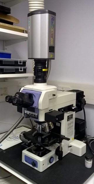 Bio-Rad Radiance 2100 MP confocal microscope - available on Warp It ...
